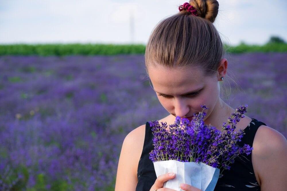 The Benefits Of Lavender When Diffused As Ambient Scent