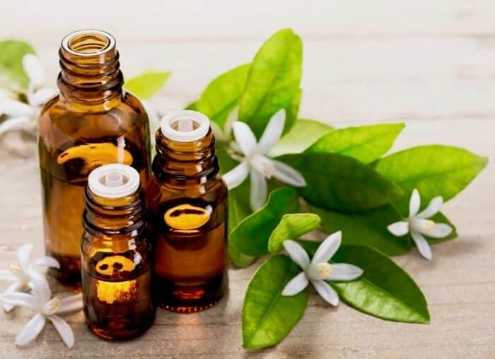 The Fragrant Ambient Power Of Orange Blossom And Neroli