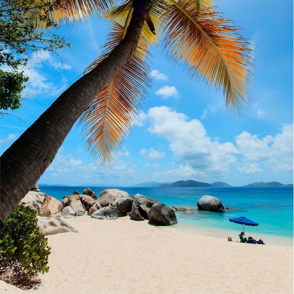 5 Scents That Instill A Feeling Of Clean In Your Business